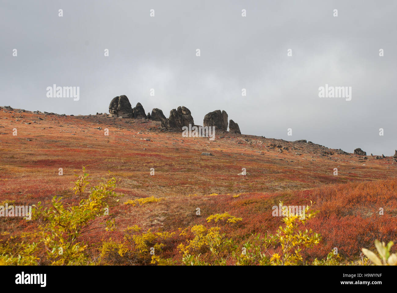 Bering land bridge national park hi-res stock photography and images ...