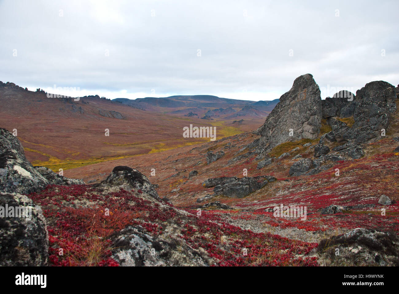 The Bering Land Bridge, once a land connection between Asia and North ...