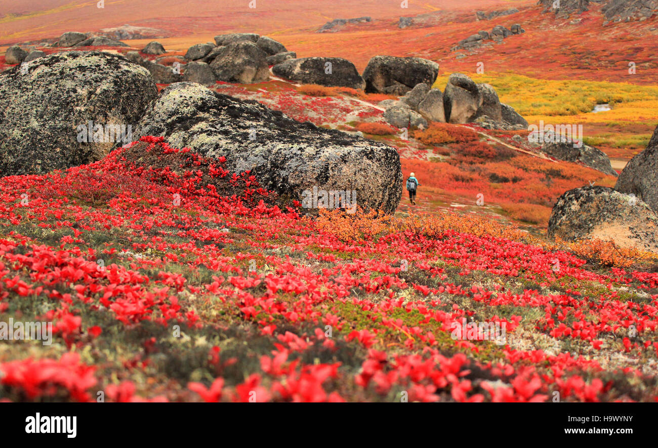 The Bering Land Bridge is a historic geographic feature connecting Asia ...