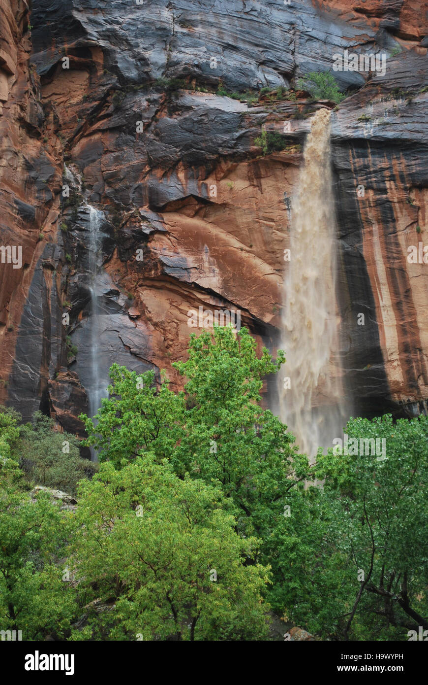 Weeping Rock Waterfall, located in Zion National Park, is a prominent ...