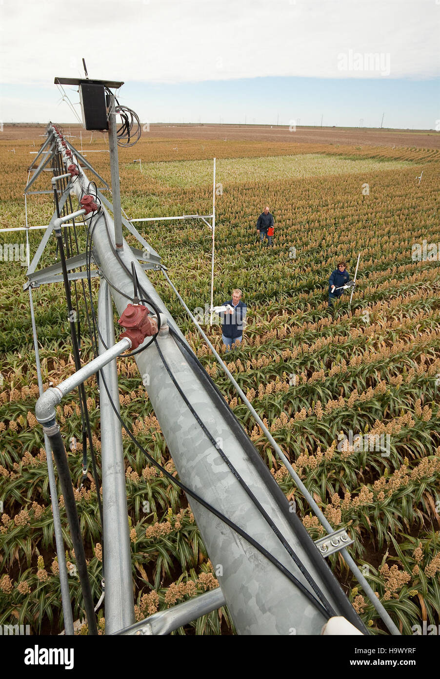This image shows a variable-rate center-pivot irrigation system at work ...