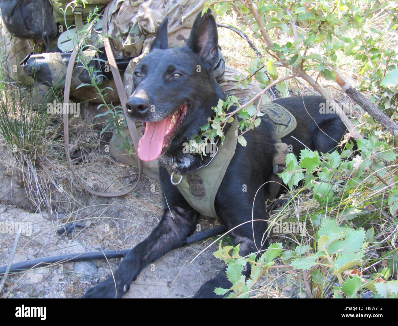 The AC-130U Spooky, a gunship operated by the 4th Special Operations ...