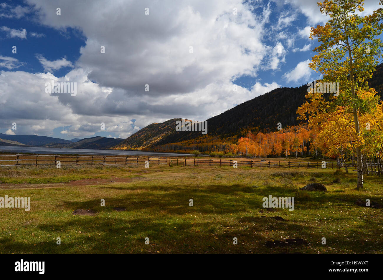 Fishlake National Forest, located in Utah, is renowned for its diverse ...