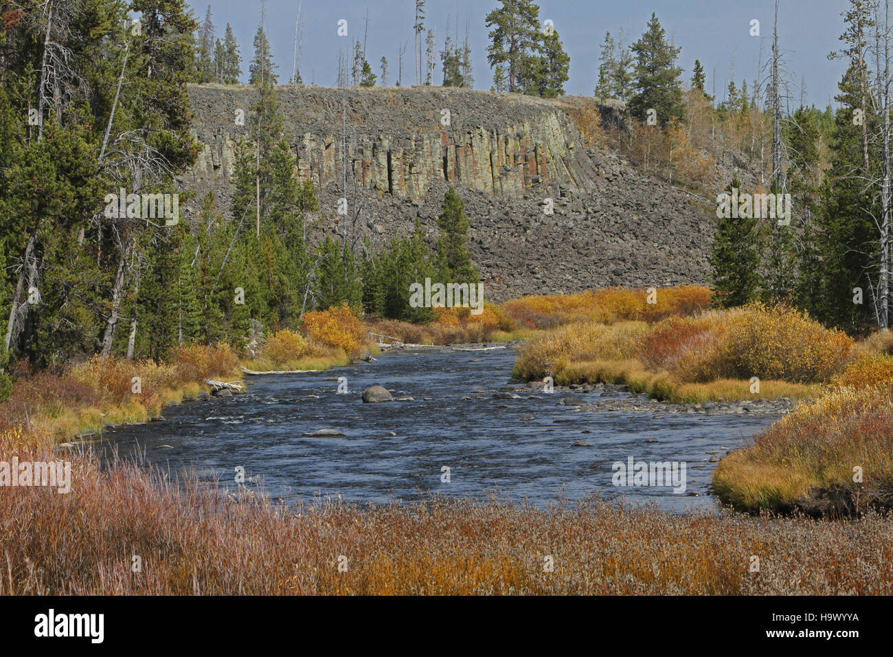 Sheepeater Cliffs in Yellowstone National Park are notable for their ...