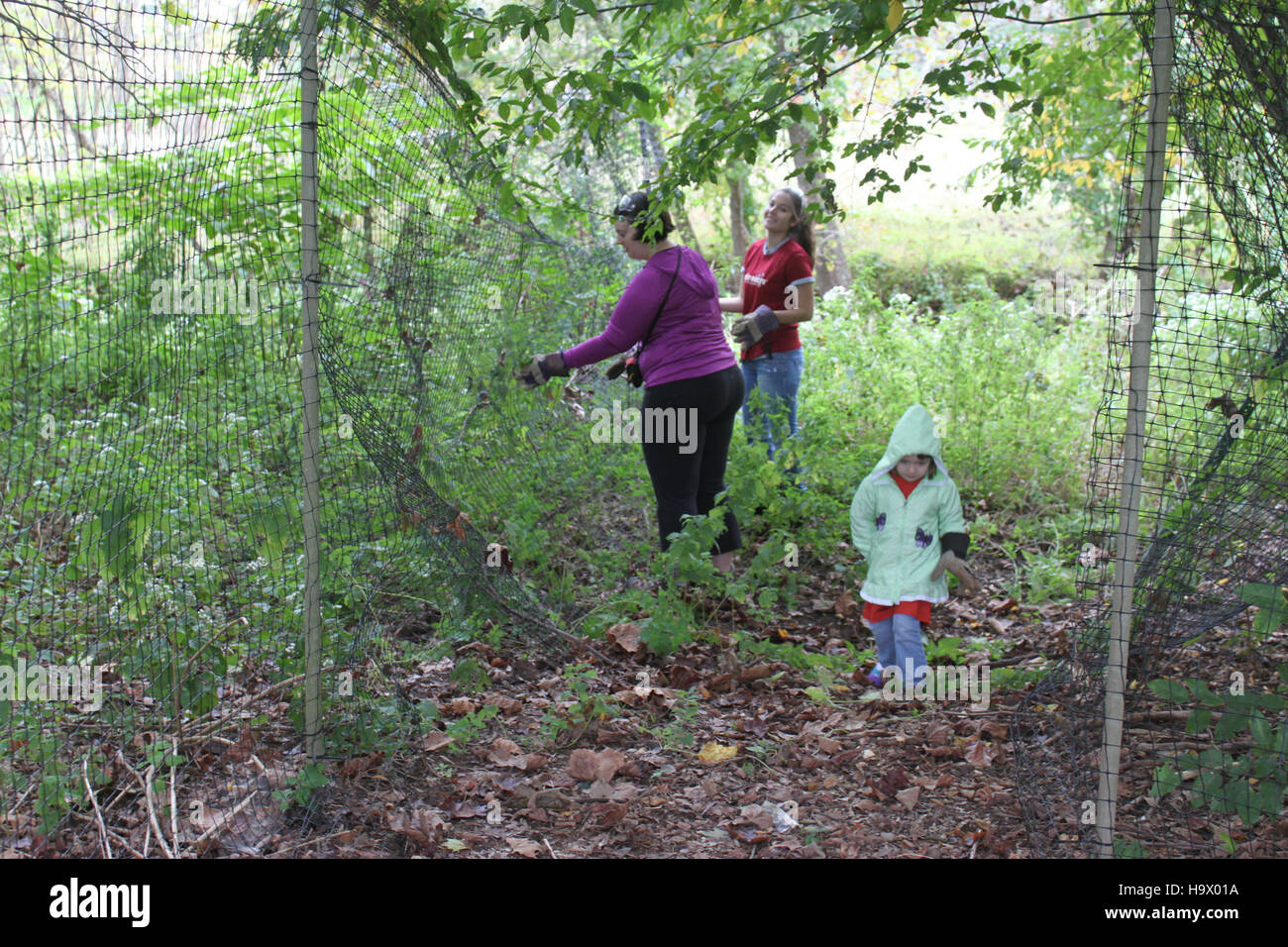 Removal of invasive plants hi-res stock photography and images - Alamy