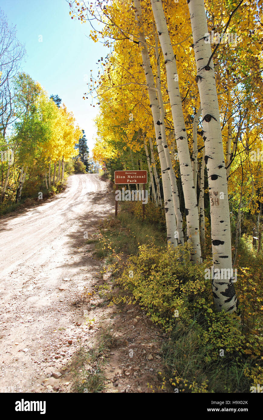 Lava Point in Zion National Park offers sweeping views of the ...