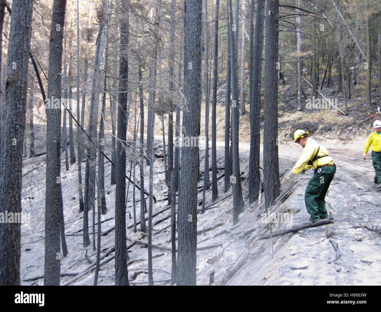 Burned area emergency response hi-res stock photography and images - Alamy