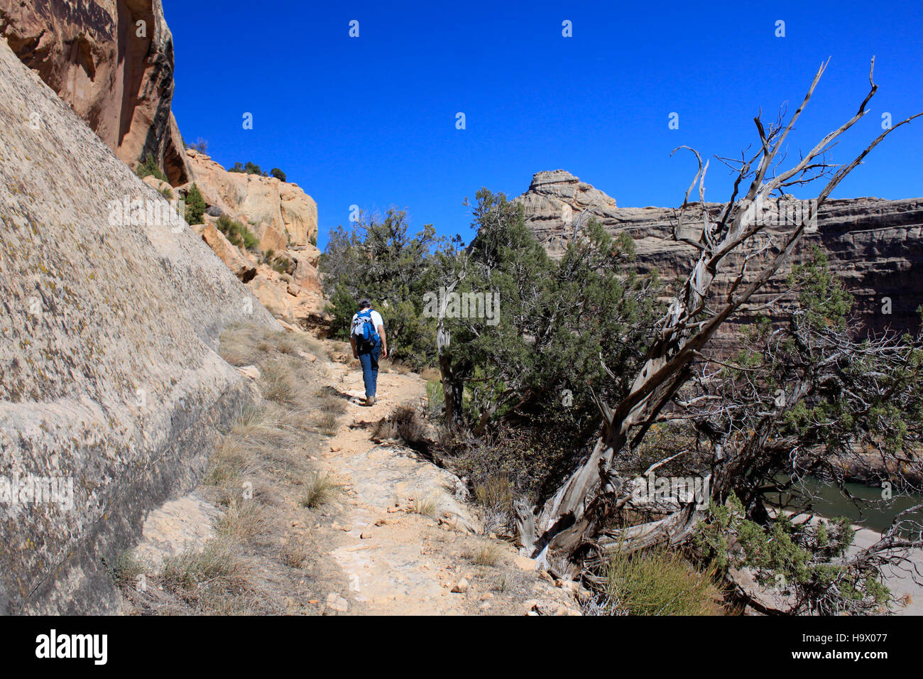 The trail to Mitten Park in Dinosaur National Monument offers visitors ...