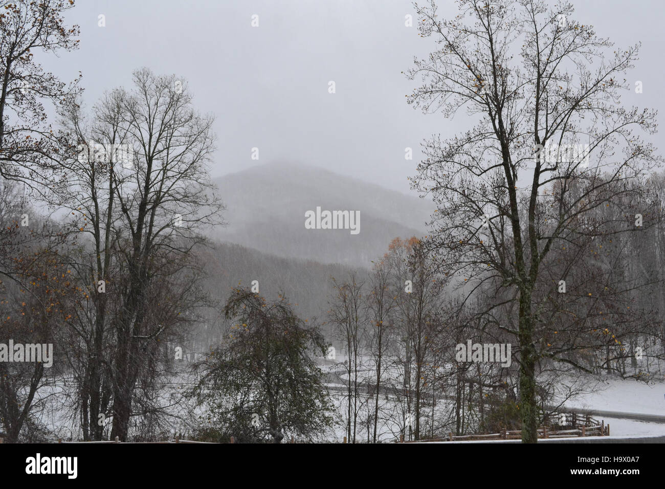 Sharp Top Mountain in Virginia is obscured by an early October snowfall ...
