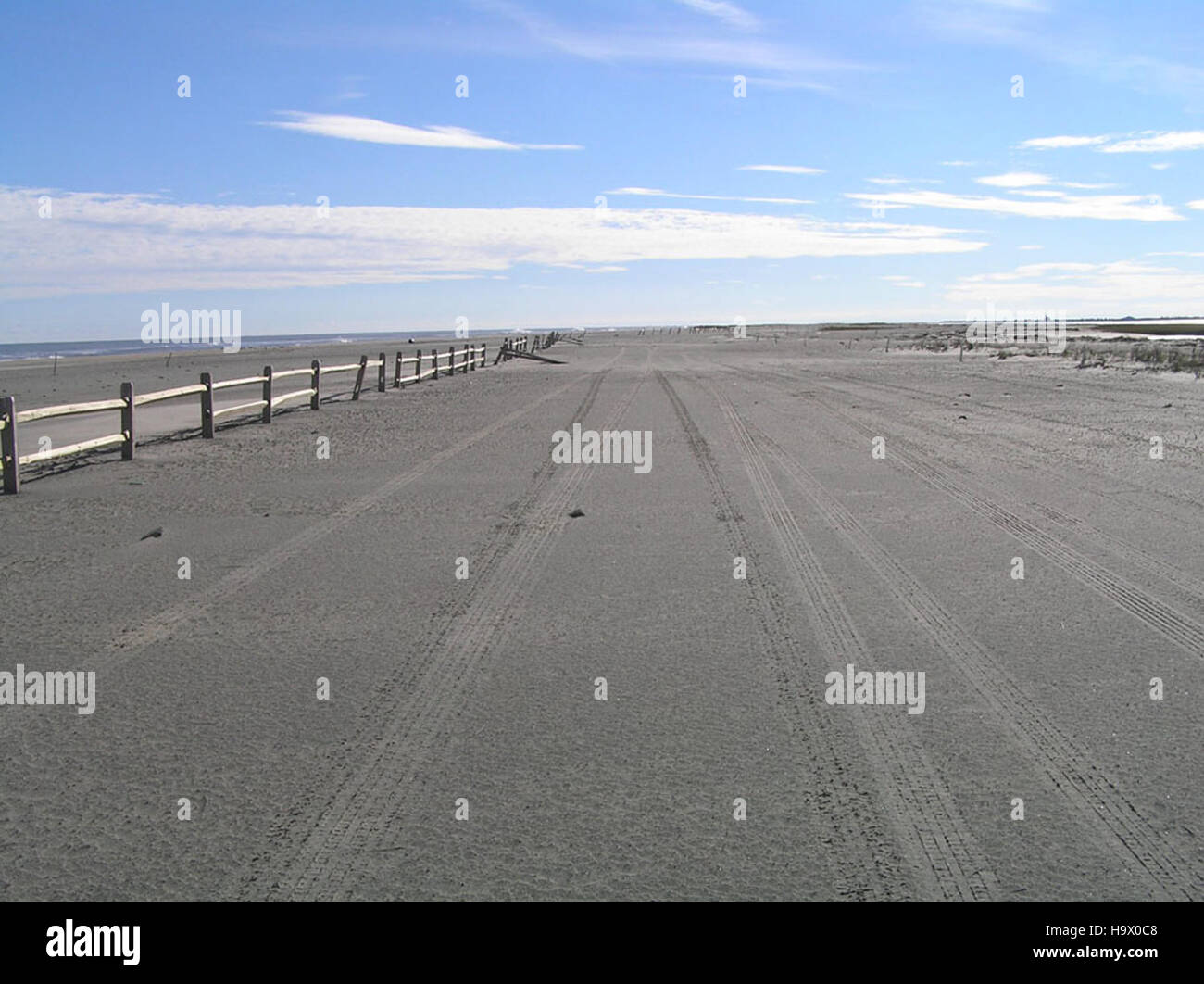 Assateague National Park, known for its wild horses and pristine ...