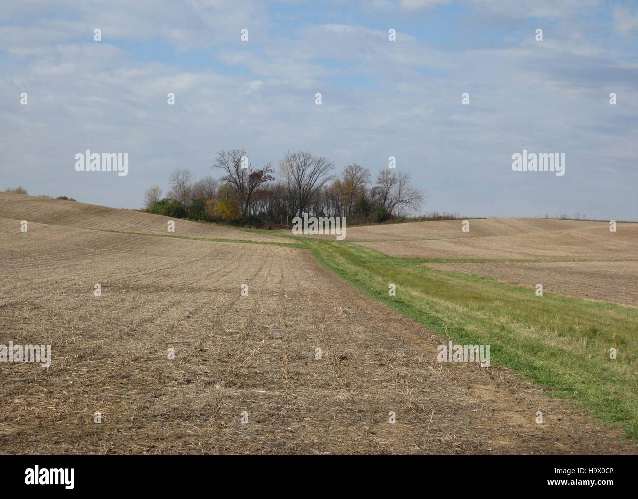 The Conservation Reserve Program (CRP) administered by the Farm Service ...