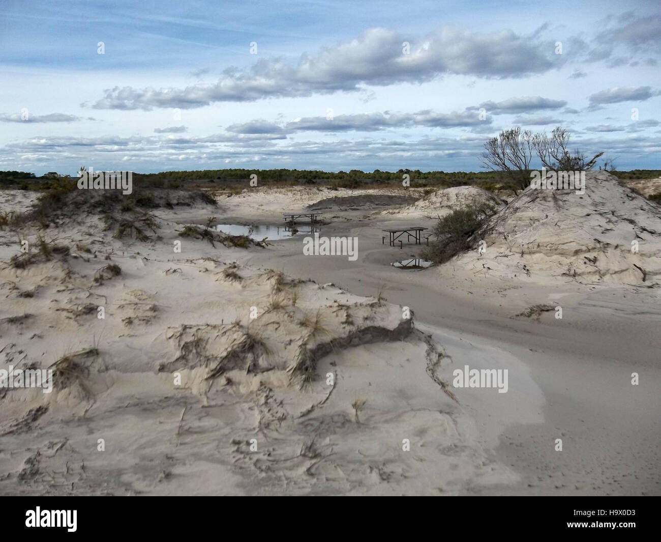 The Little Levels Backcountry Campsite, located in Assateague National ...