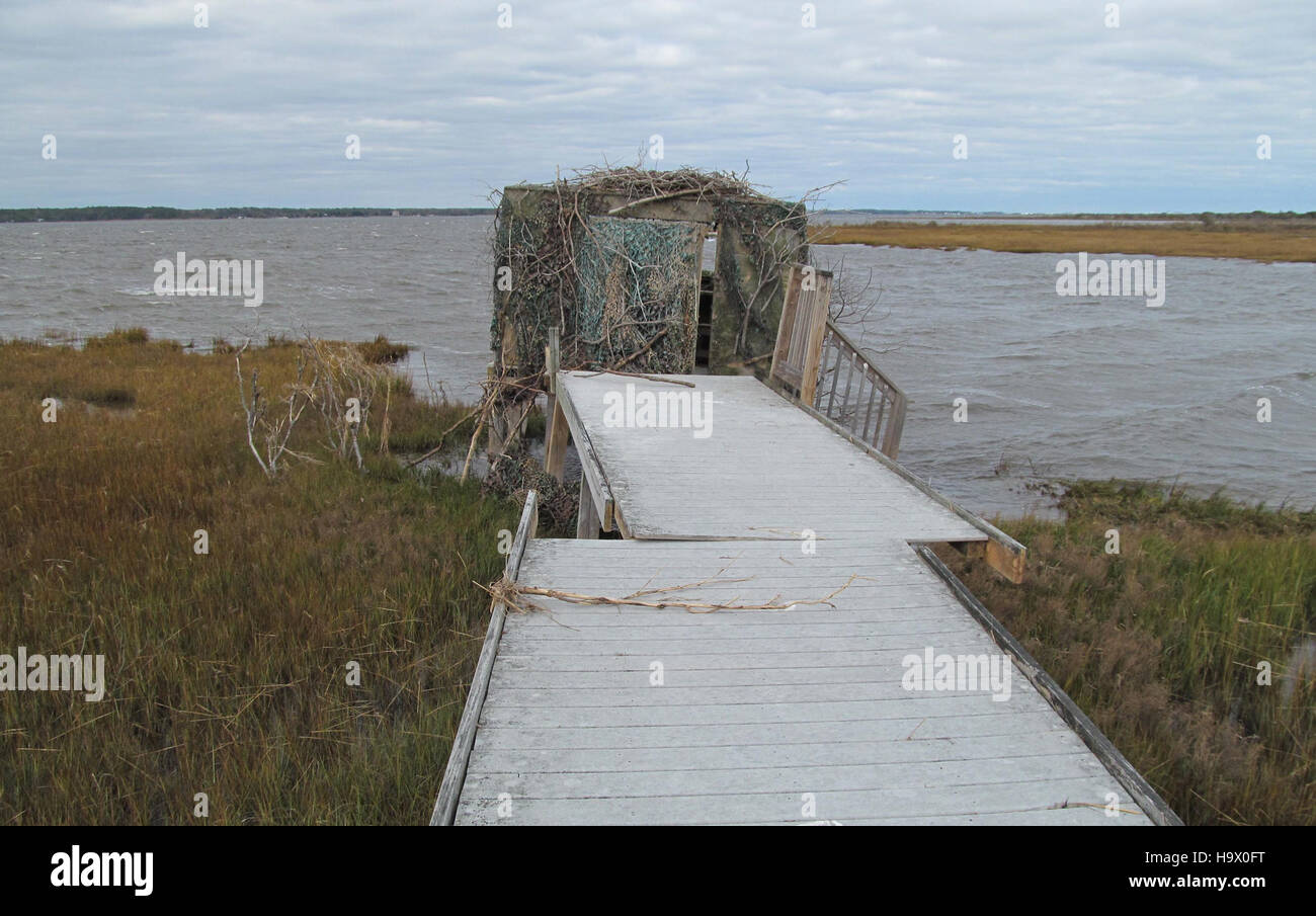 Hunt Blind A at Assateague National Park offers a designated space for ...