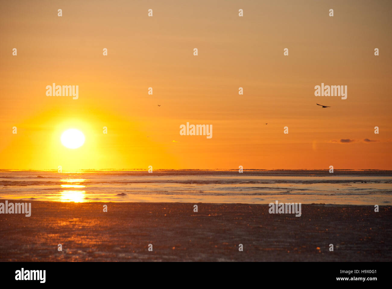 Bering land bridge ice hi-res stock photography and images - Alamy