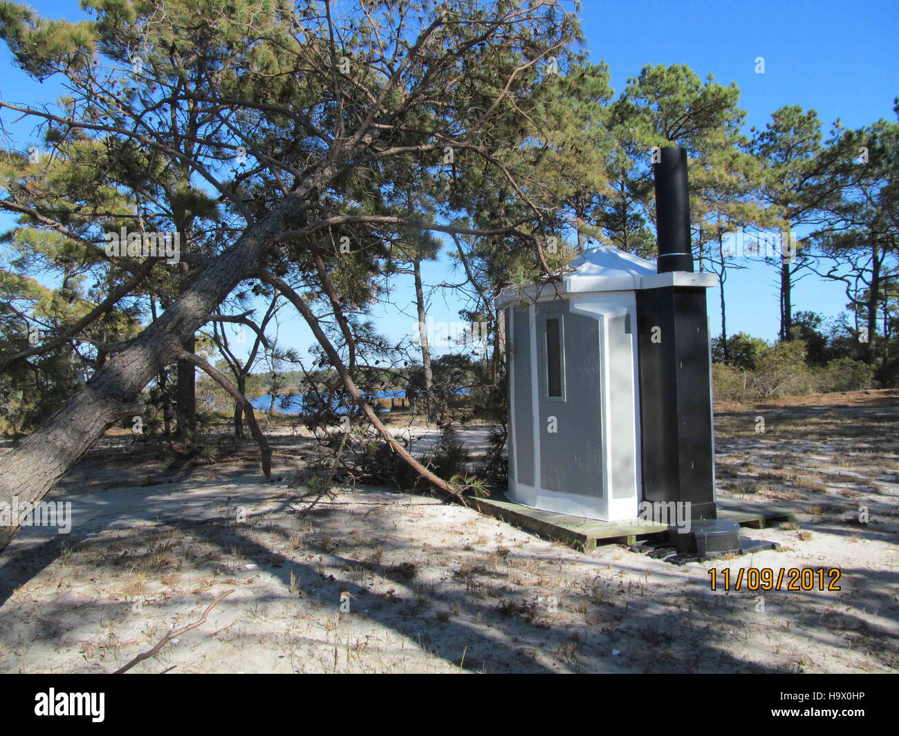 The Pine Tree campsite, located in Maryland's Assateague National ...