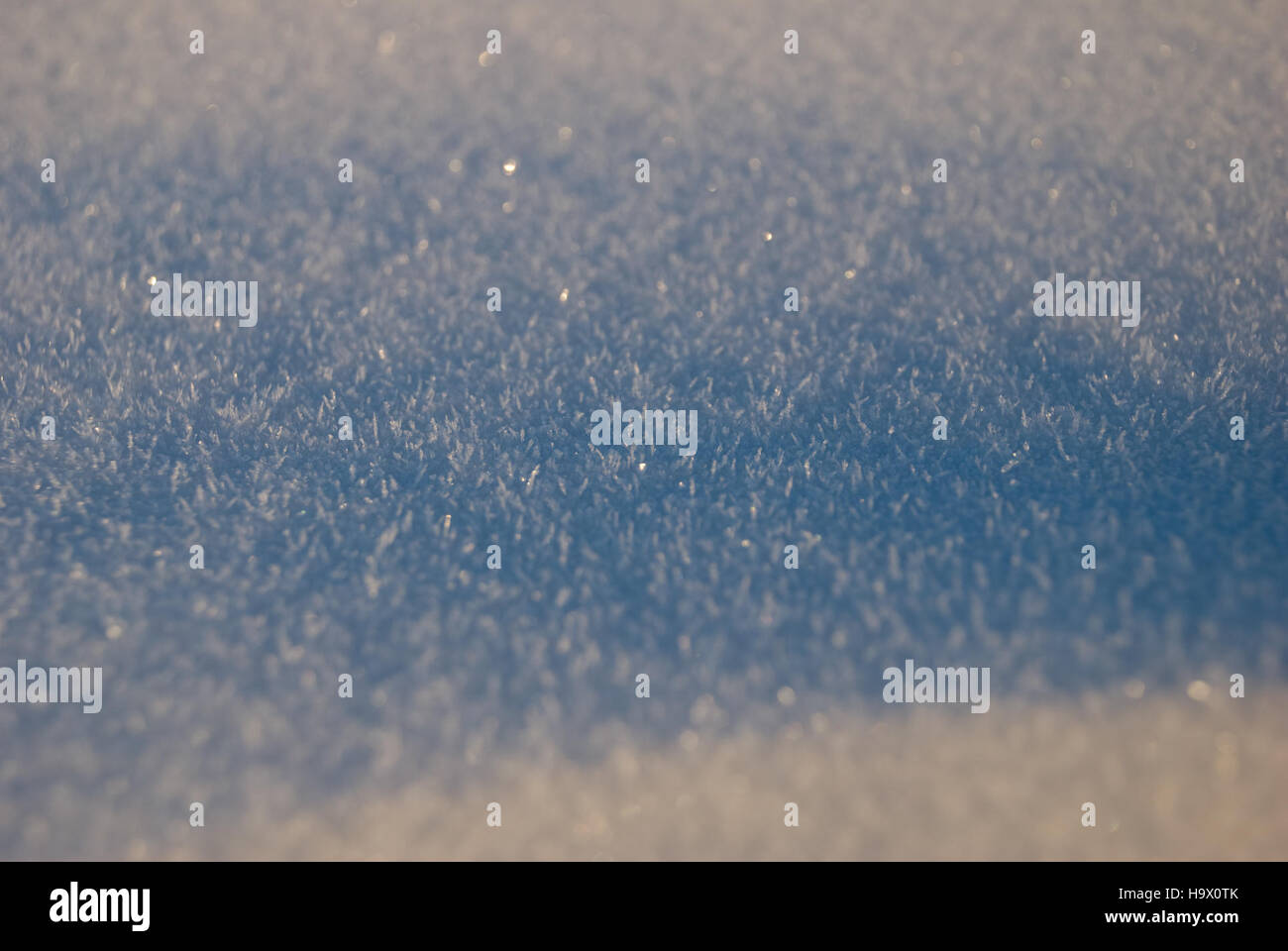 Surface hoarfrost in the Bering Land Bridge National Park creates an ...