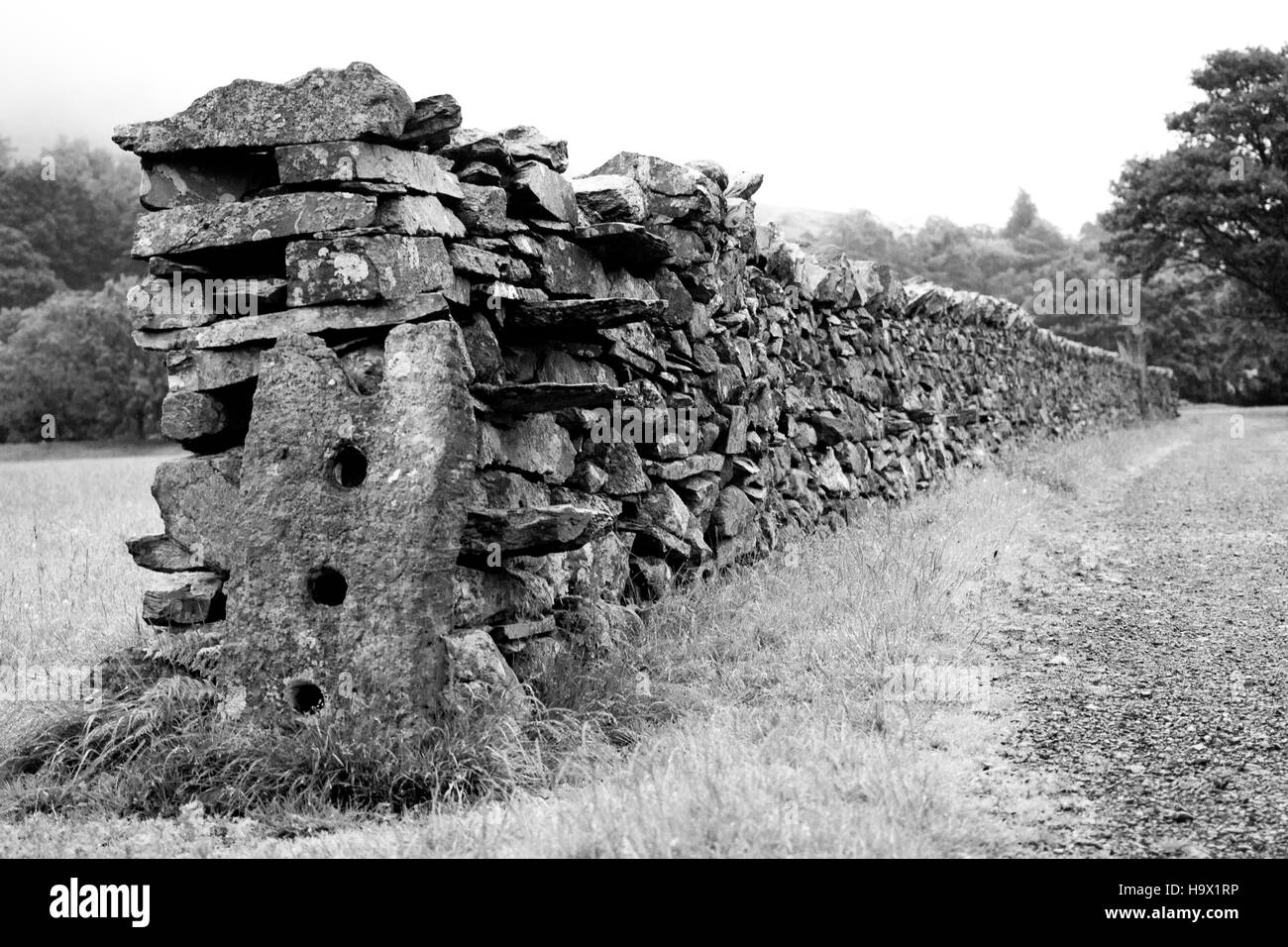 Traditional drystone wall in the Lake District, England Stock Photo - Alamy