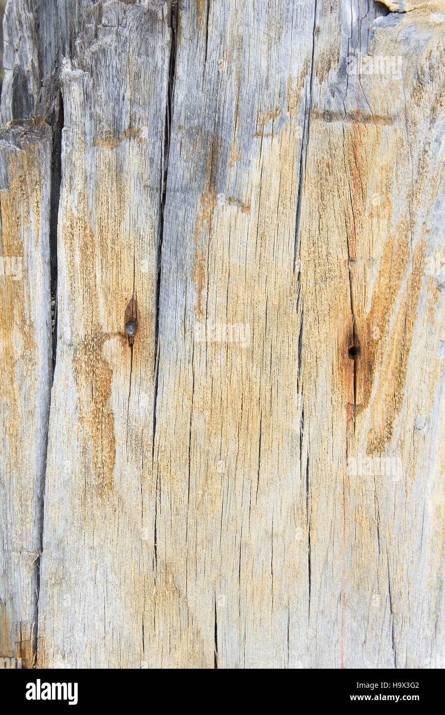 texture old wood , wood background style vintage , wood pattern design ...