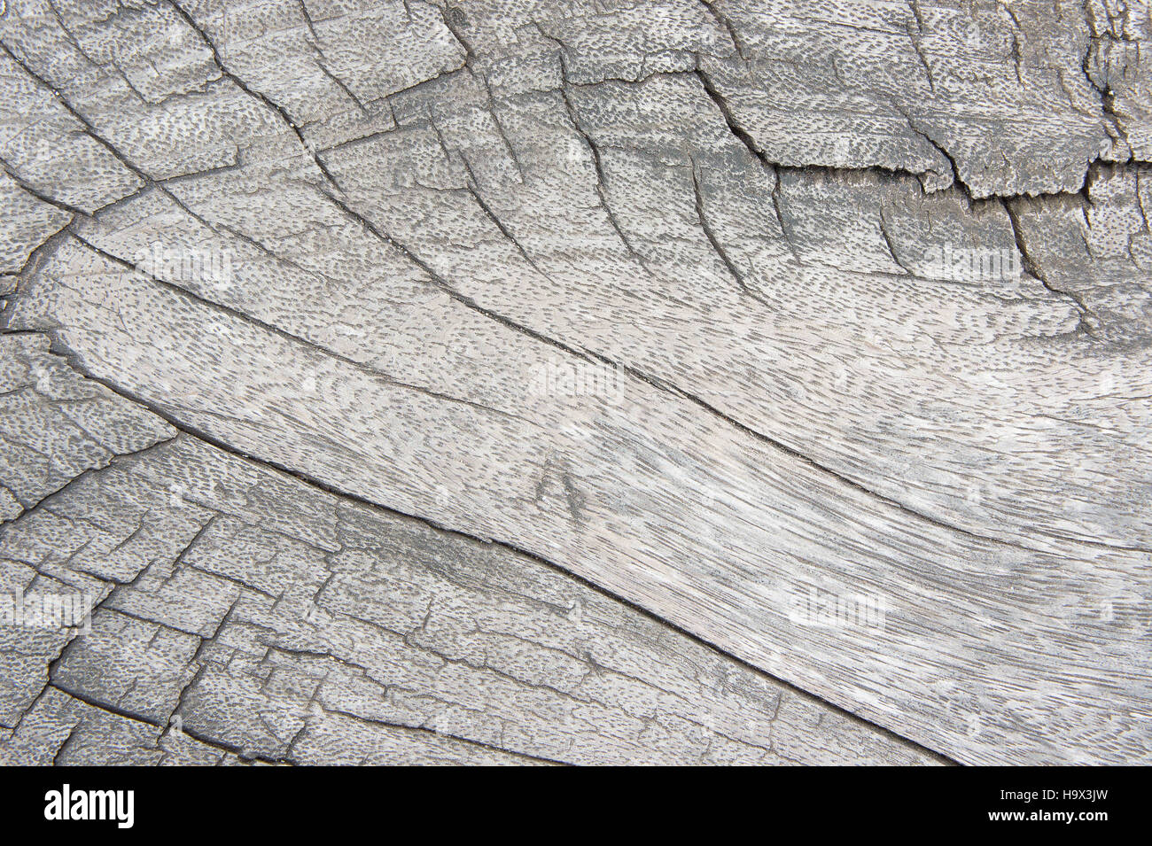 texture old wood , wood background style vintage , wood pattern design ...