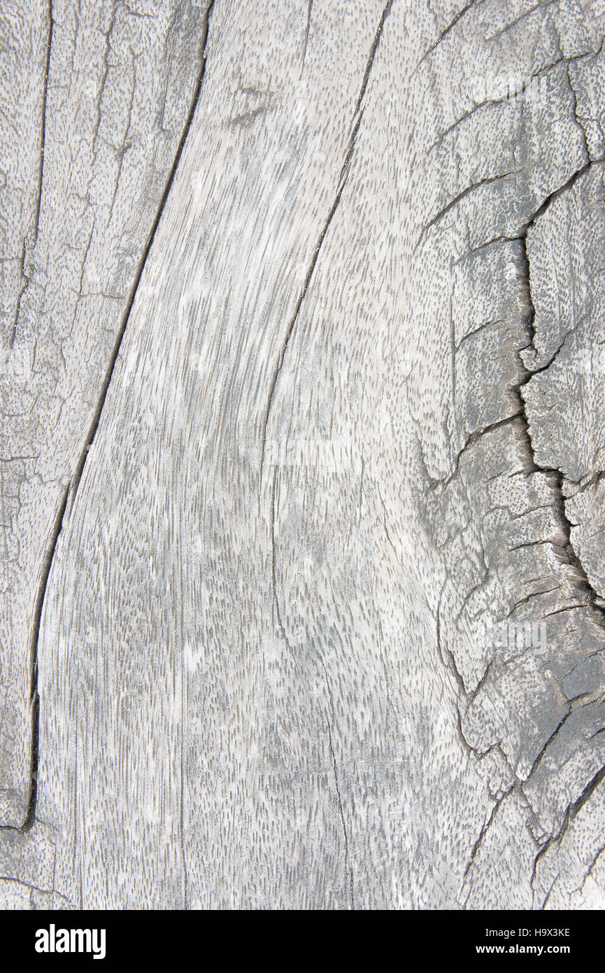 texture old wood , wood background style vintage , wood pattern design ...