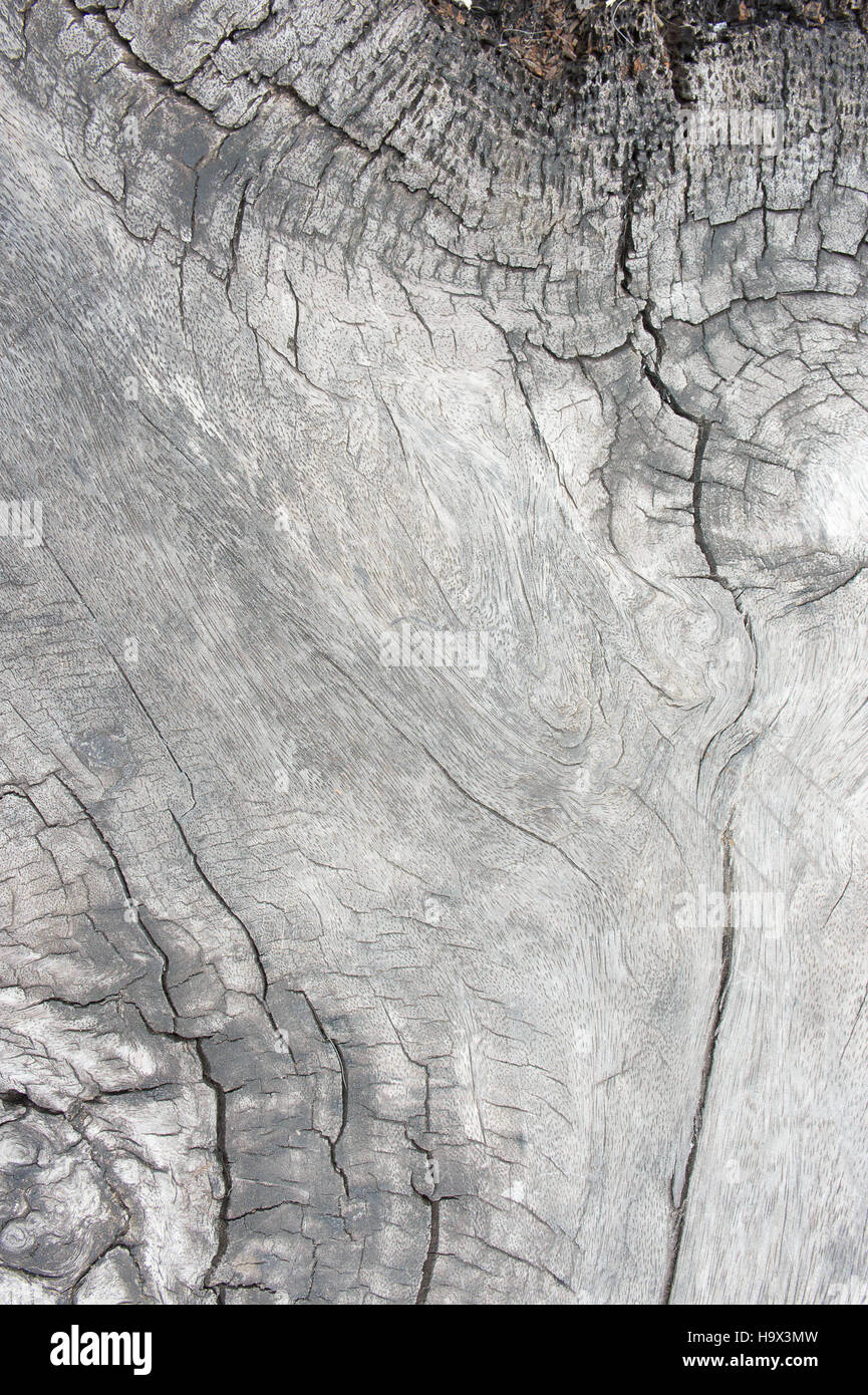 texture old wood , wood background style vintage , wood pattern design ...