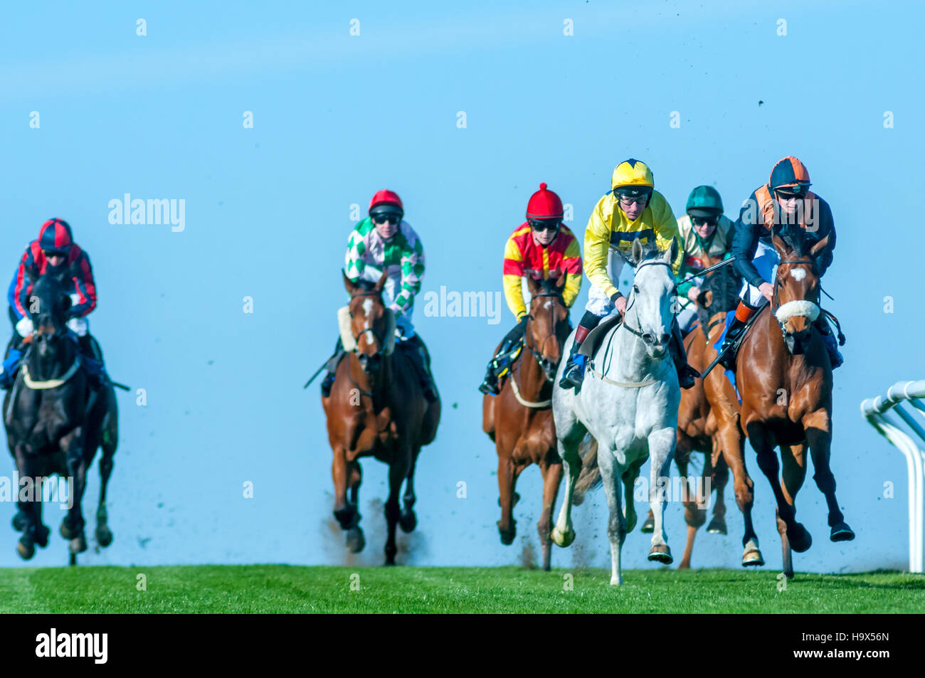 Brighton racecourse hi-res stock photography and images - Alamy