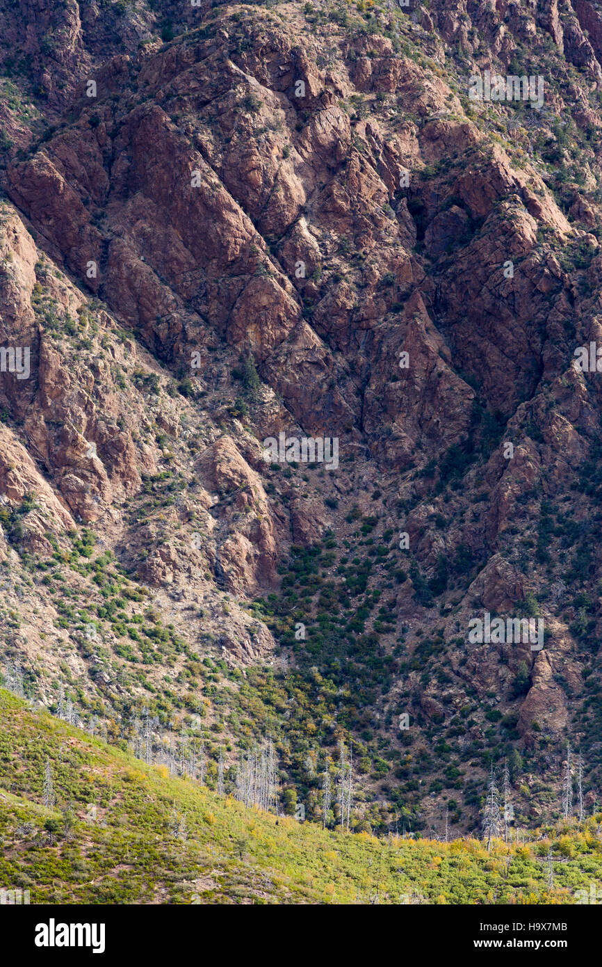 A large rocky cliff hanging above burned evergreen trees on a ridge in ...