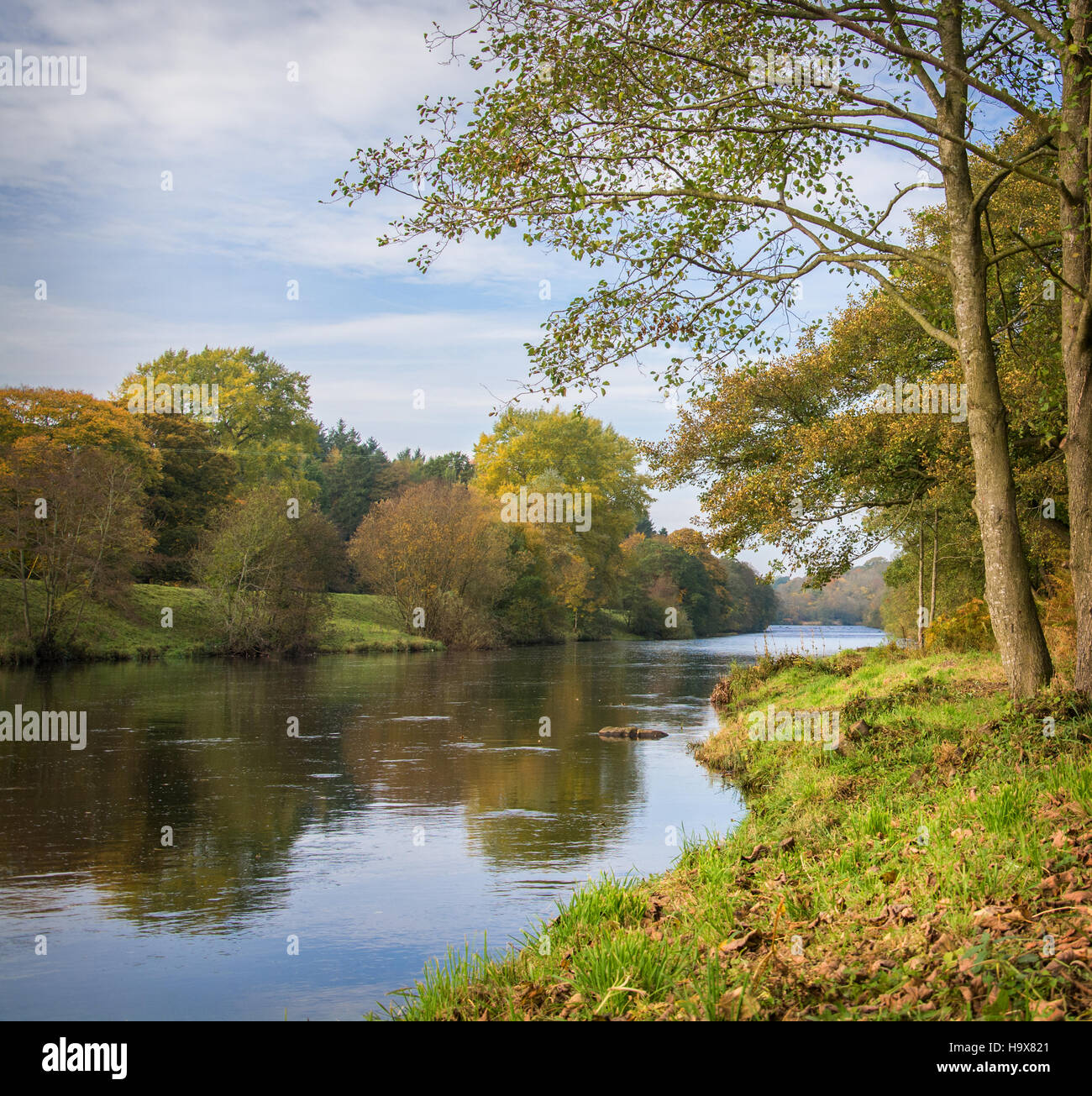 River North Tyne Wark Stock Photo - Alamy