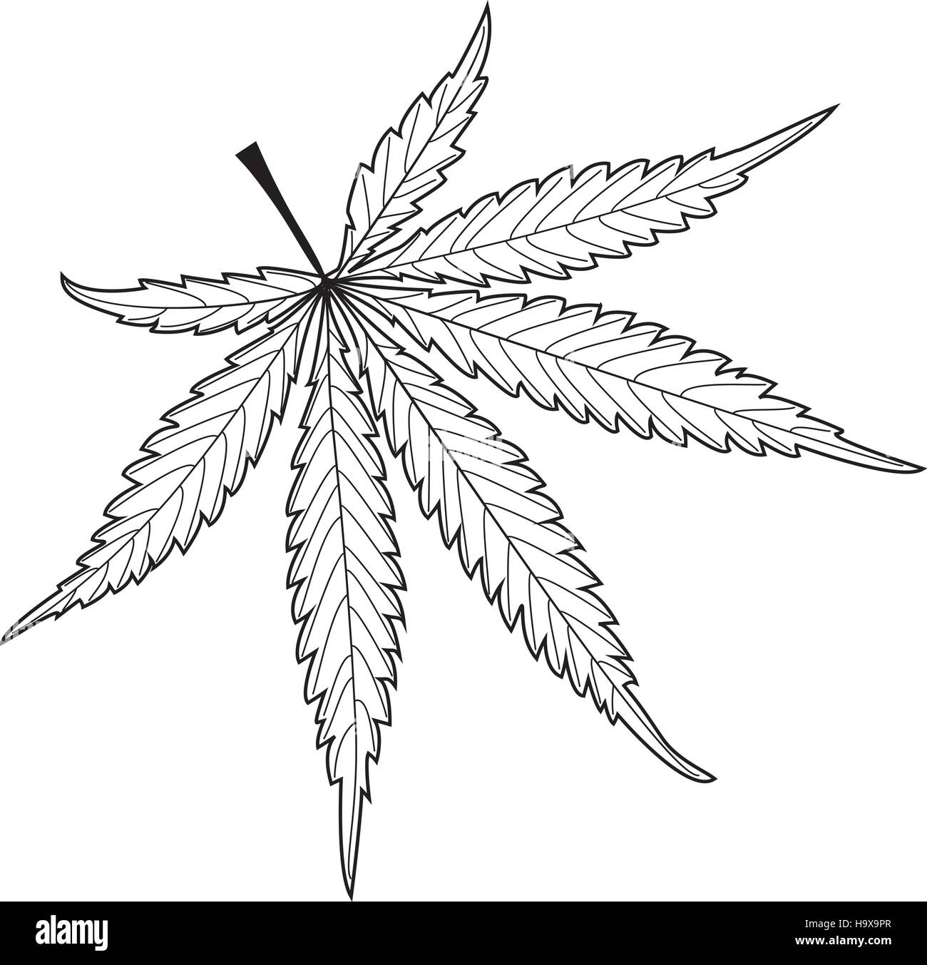 Hemp seedling Stock Vector Images - Alamy