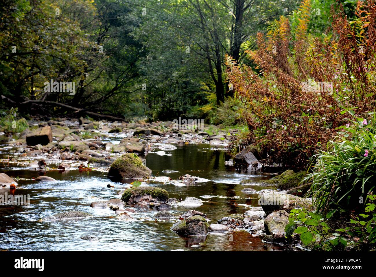 Hebden beck bridge hi-res stock photography and images - Alamy