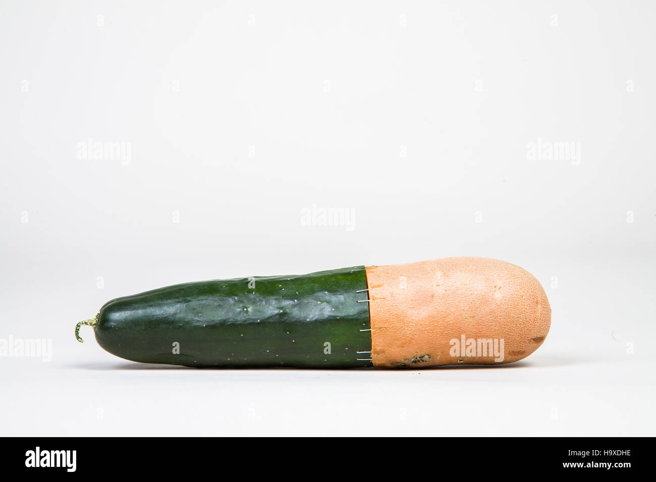 Artificial cucumber hi-res stock photography and images - Alamy