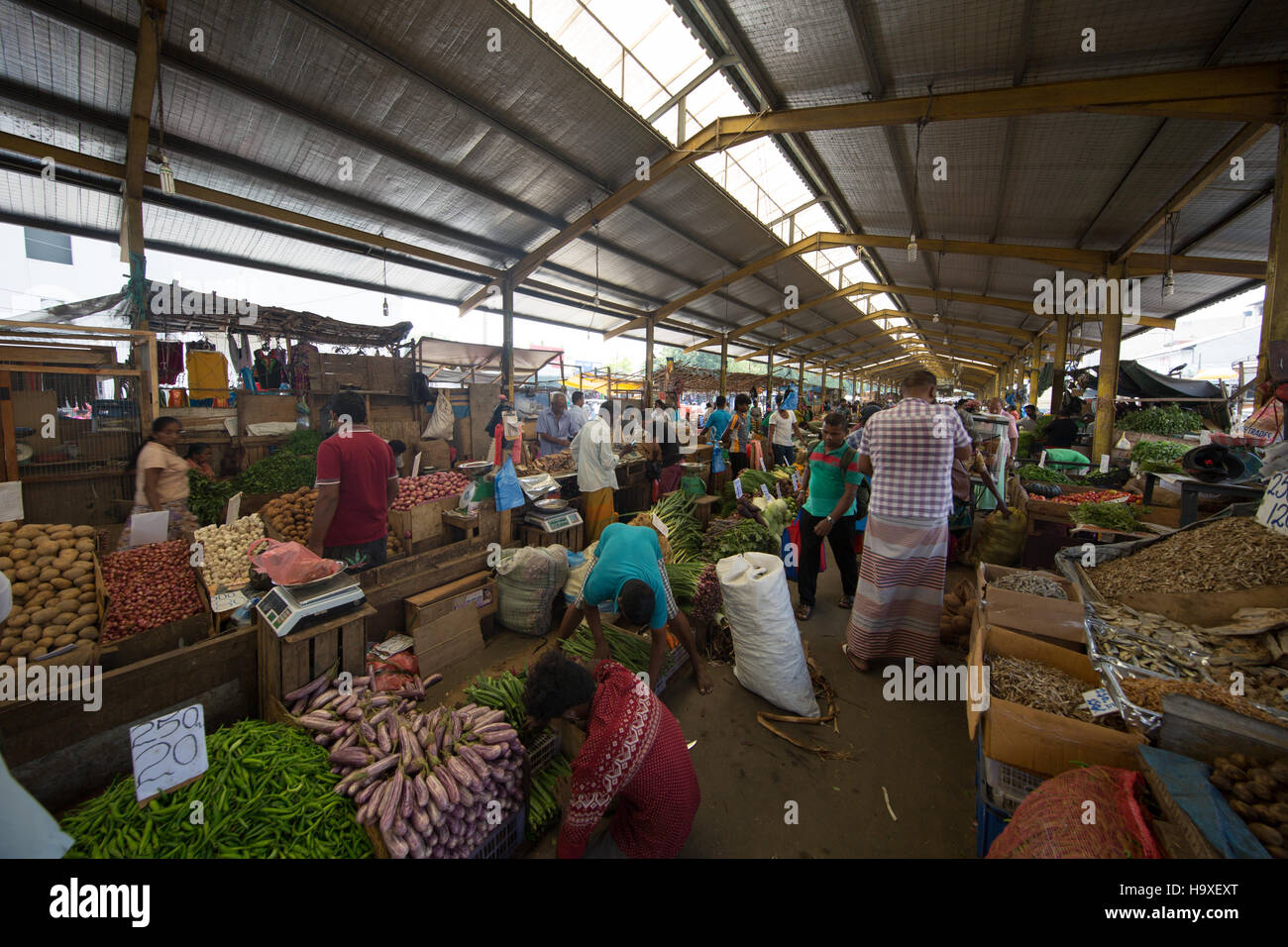 The Pettah Market Colombo Sri Lanka Stock Photo - Alamy