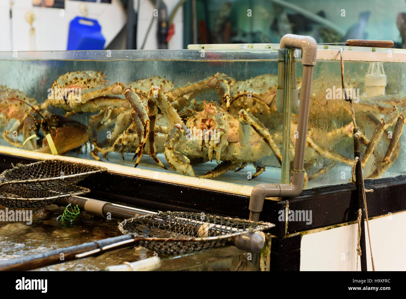 Chinese fish dealer hi-res stock photography and images - Alamy