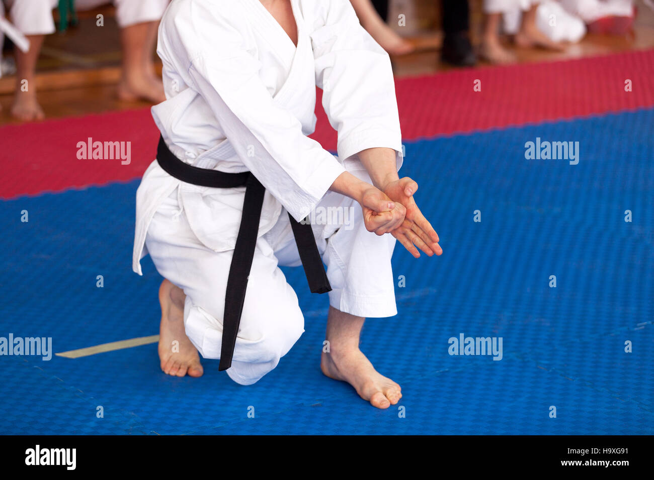 Karateka High Resolution Stock Photography and Images - Alamy