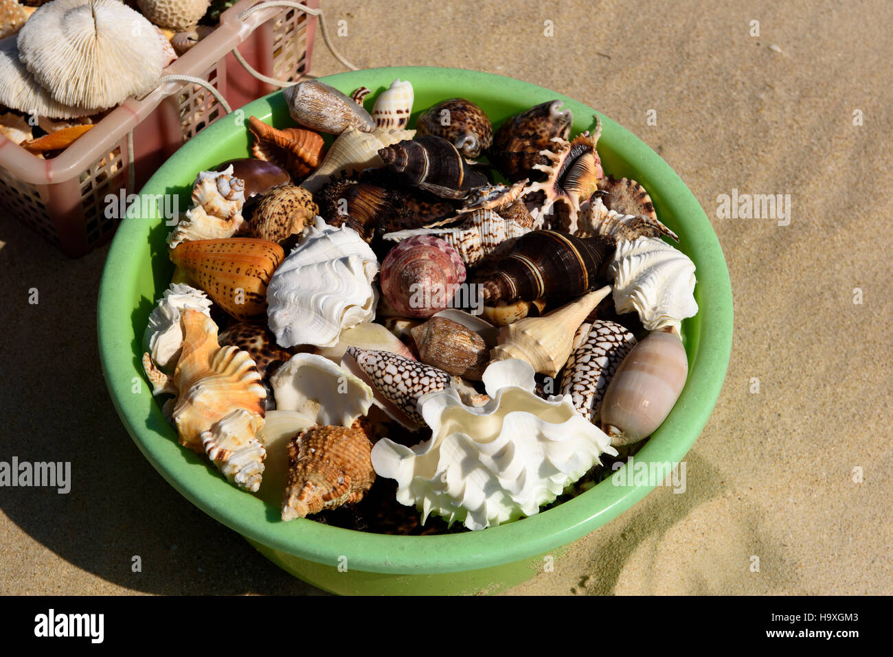 Shells, Beach at Sanya Bay near Club Med Hainan island, China Stock ...