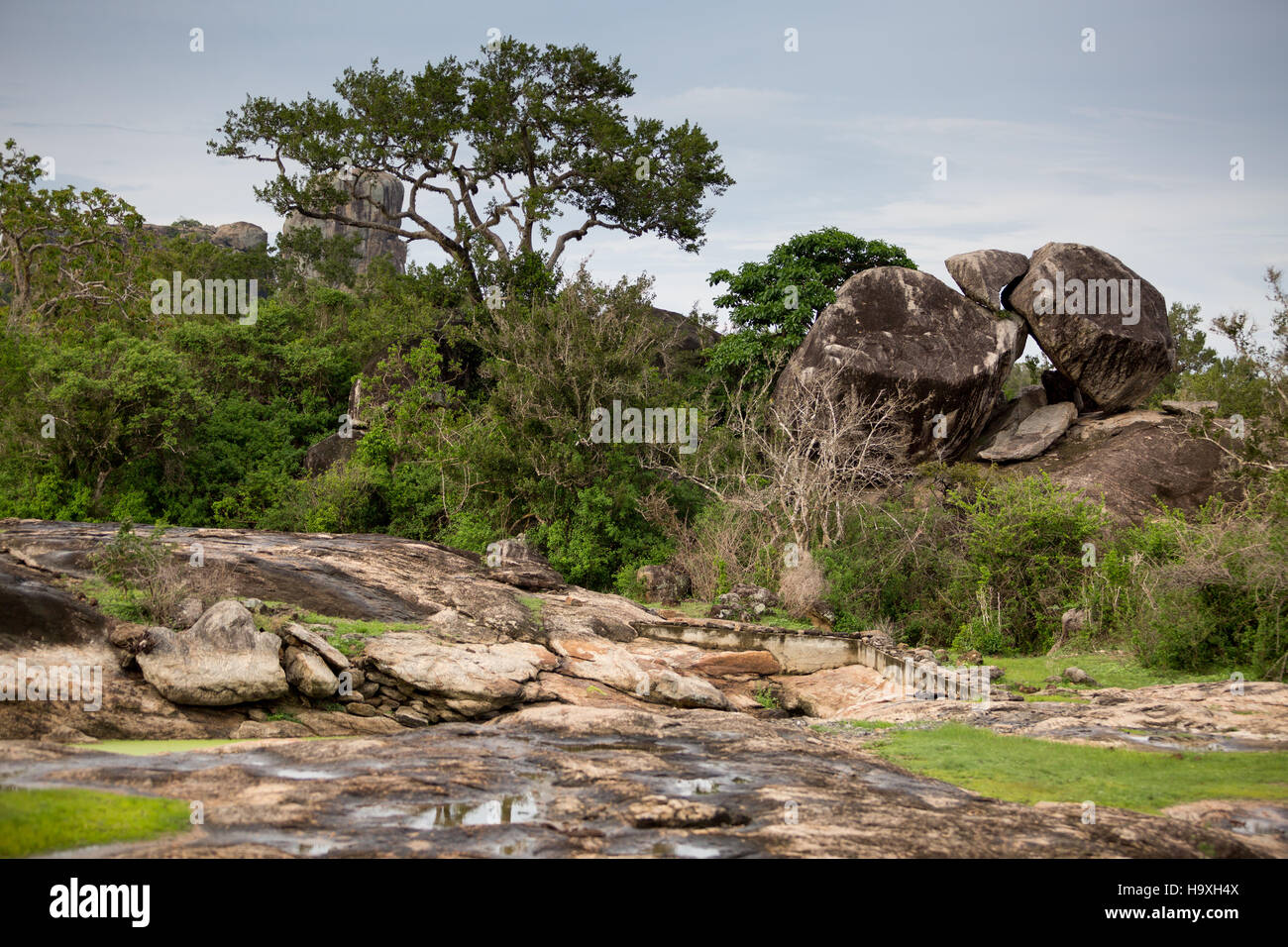 Wild animals Yala National Park Southern province Sri Lanka Stock Photo ...