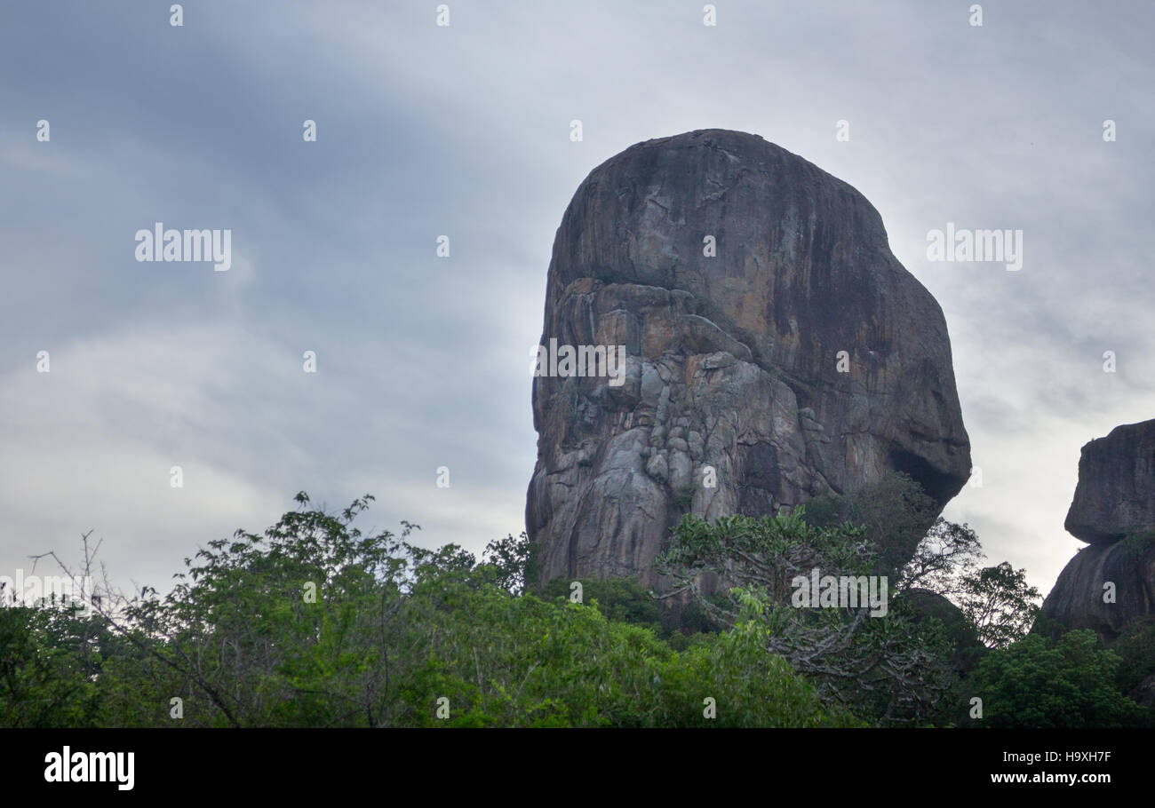 Yala national park rock sri lanka hi-res stock photography and images ...
