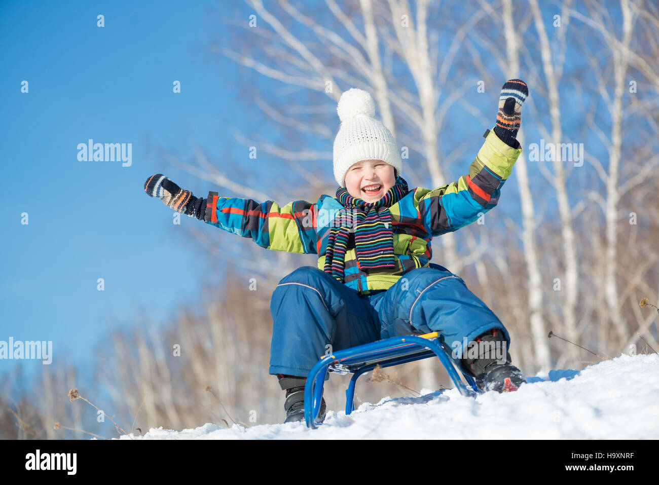 Little cute boy riding sled in winter park Stock Photo - Alamy