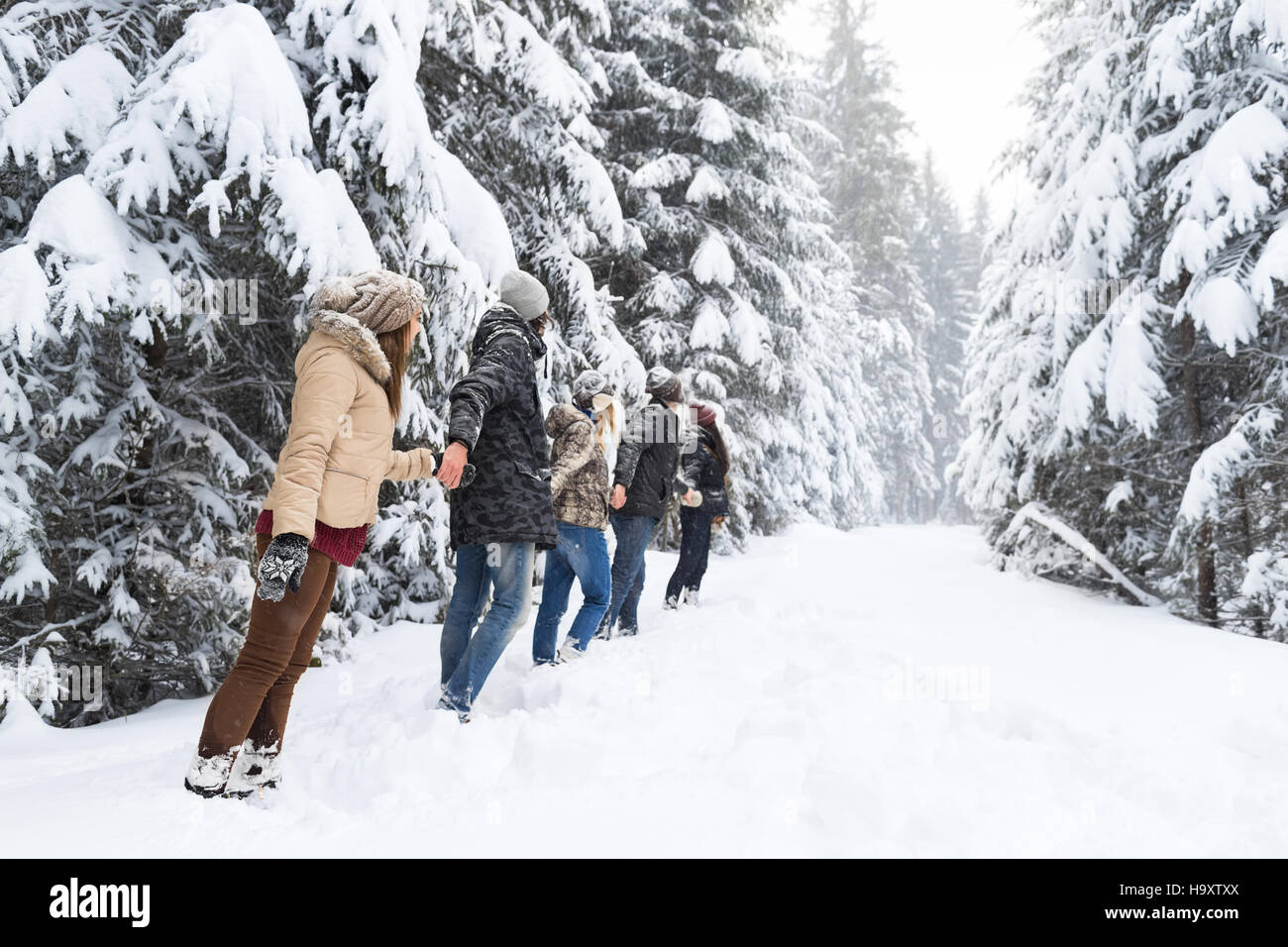 Friends Group Snow Forest Young People Walking Outdoor Stock Photo - Alamy