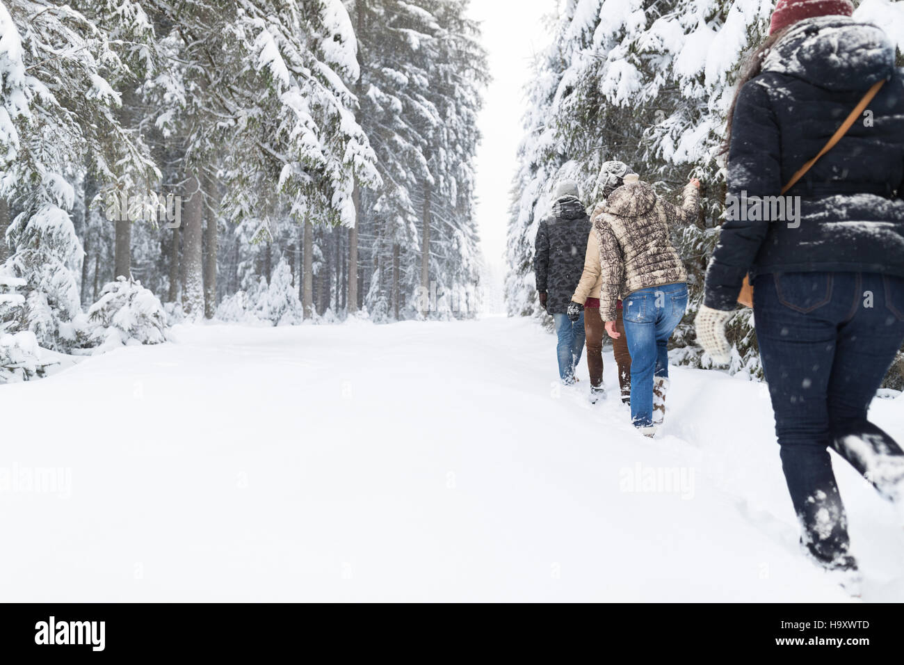 Friends Group Snow Forest Young People Walking Outdoor Stock Photo - Alamy