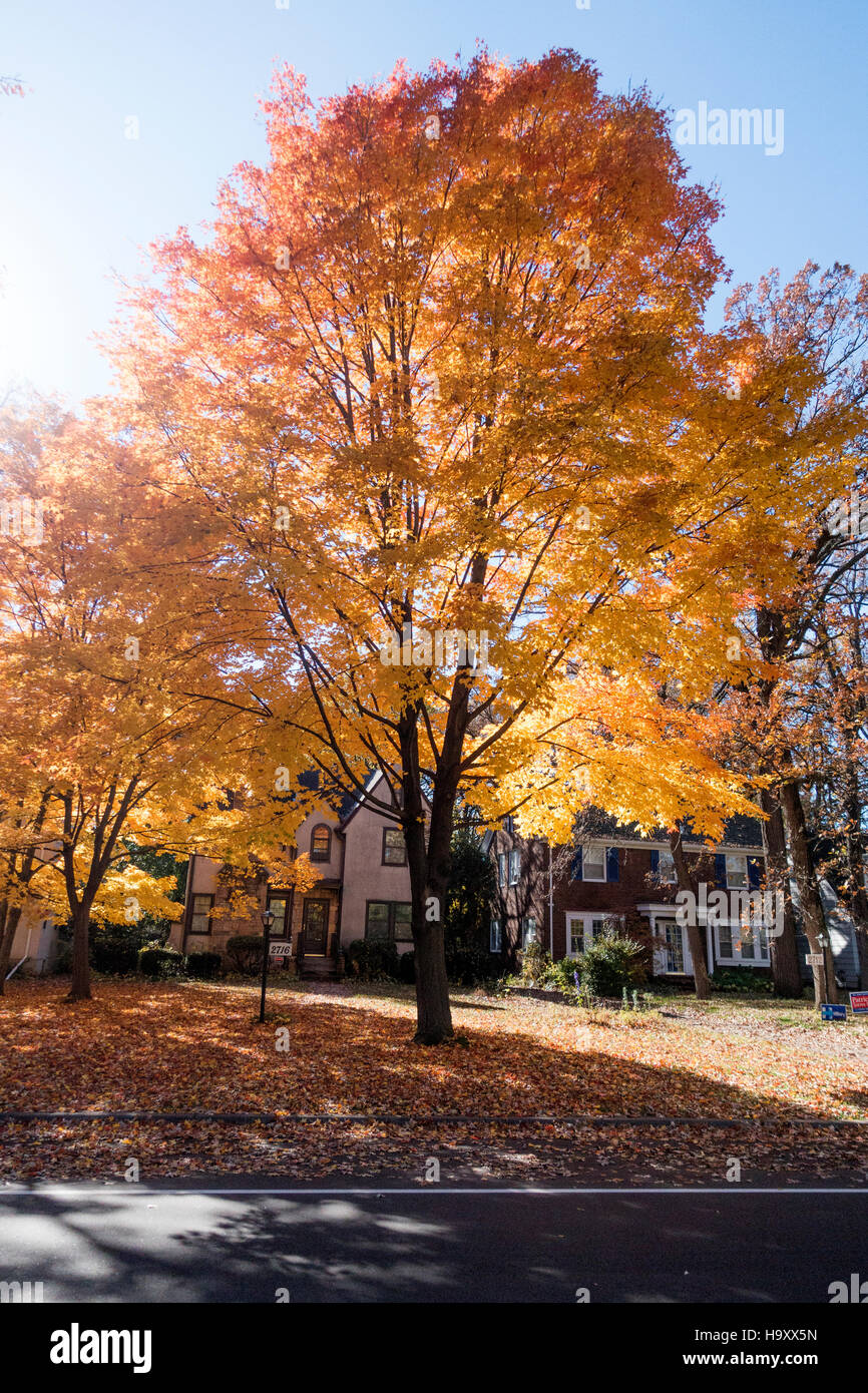 Peaceful neighborhood fall home hi-res stock photography and images - Alamy
