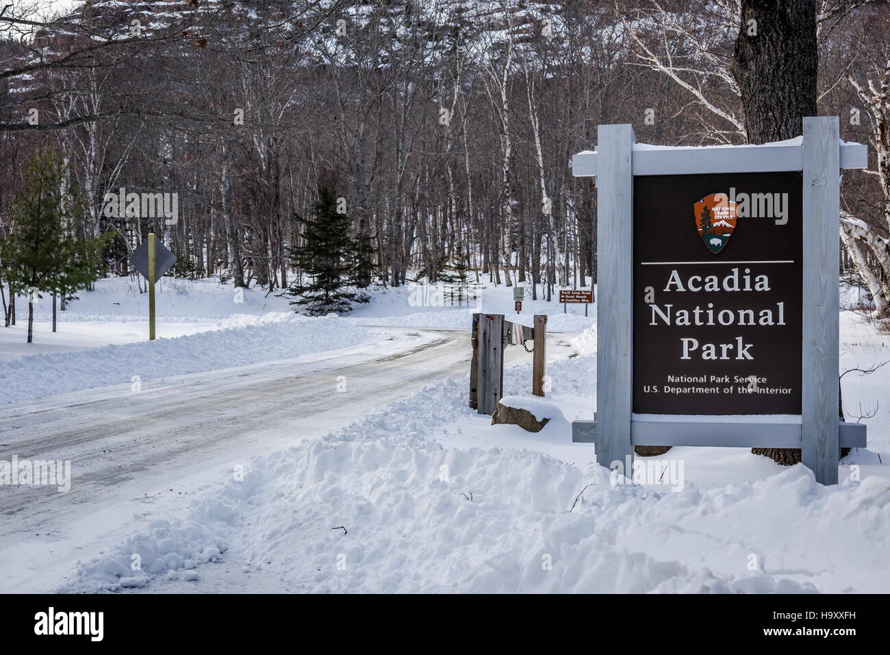 A winter scene along Ocean Drive featuring arrowhead signs, a common ...