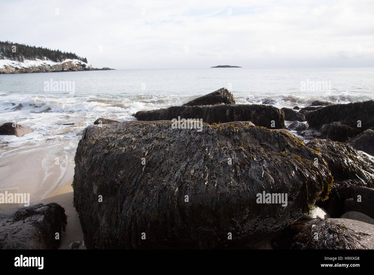 Kristi Rugg captures the winter beauty of Ocean Drive Sand Beach, part ...