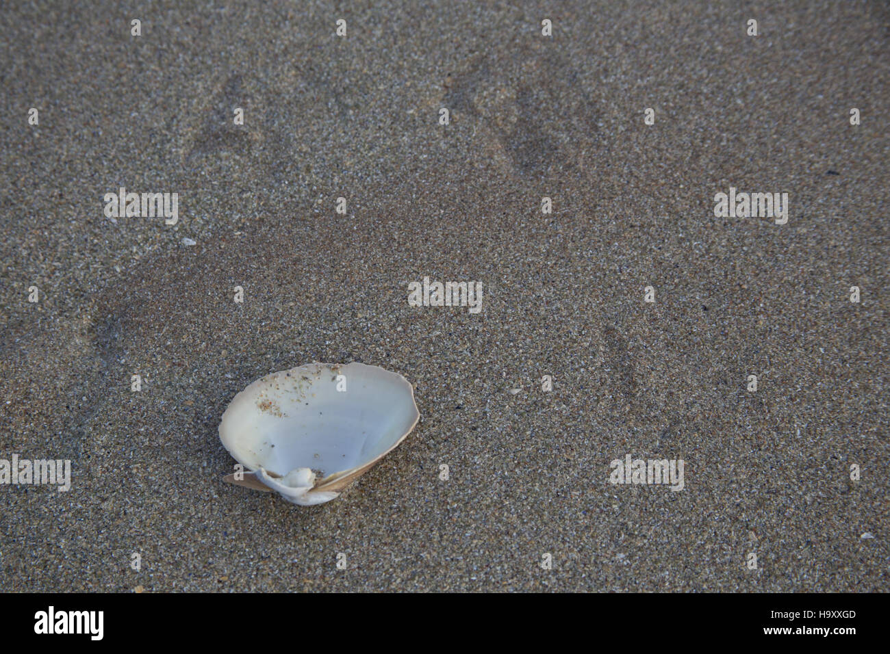 Kristi Rugg captured a winter scene at Sand Beach along Ocean Drive, a ...