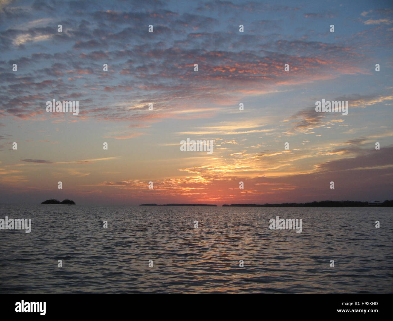 Flamingo florida canoe hi-res stock photography and images - Alamy