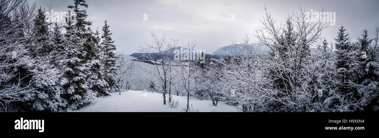 A winter panorama of Bar Island, captured from Bar Harbor, highlighting ...