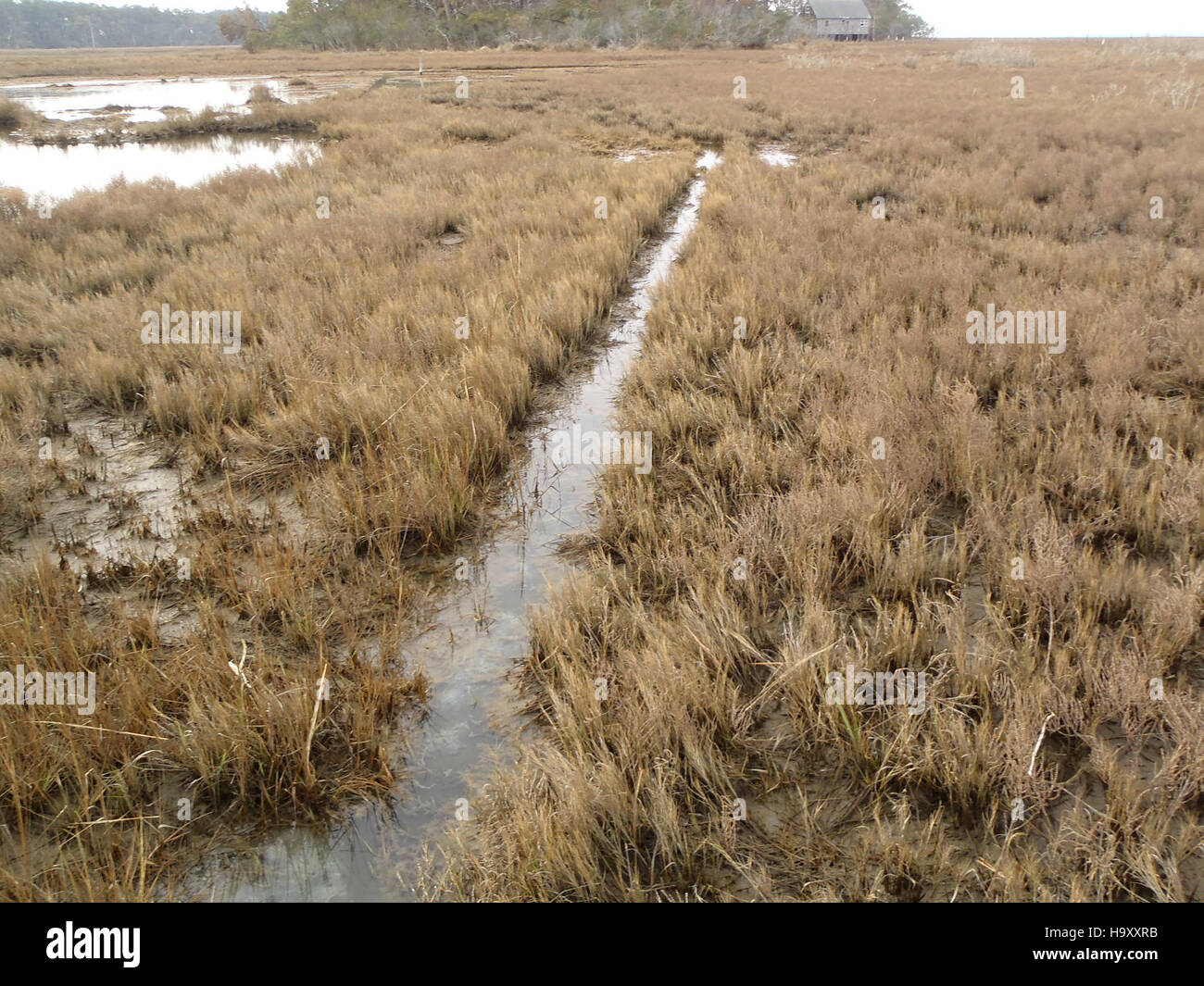 The Marsh Restoration Project at Assateague Island National Seashore ...