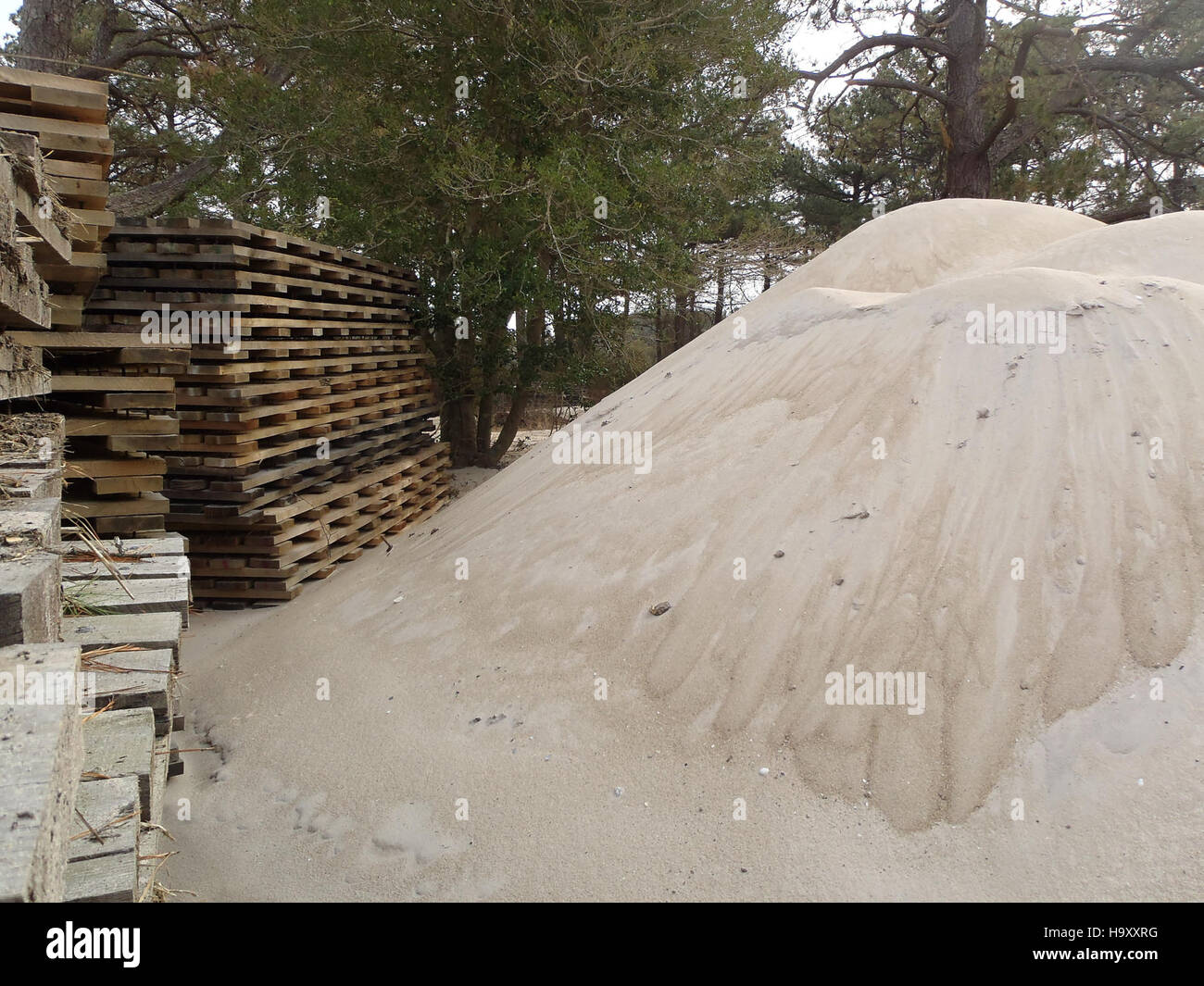 The Marsh Restoration Project in Assateague Island National Seashore ...