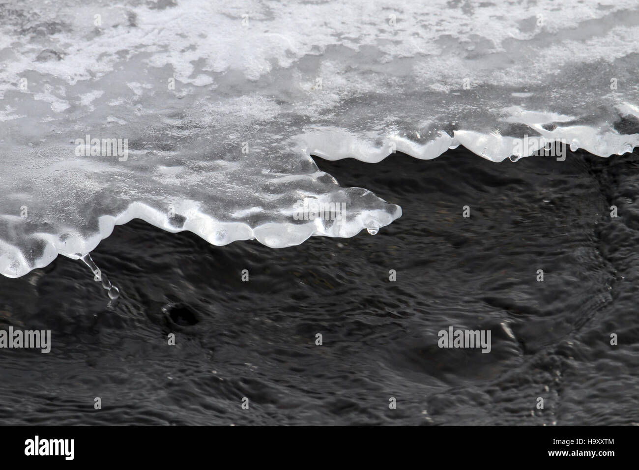 The ice shelf in Yellowstone National Park forms an essential part of ...