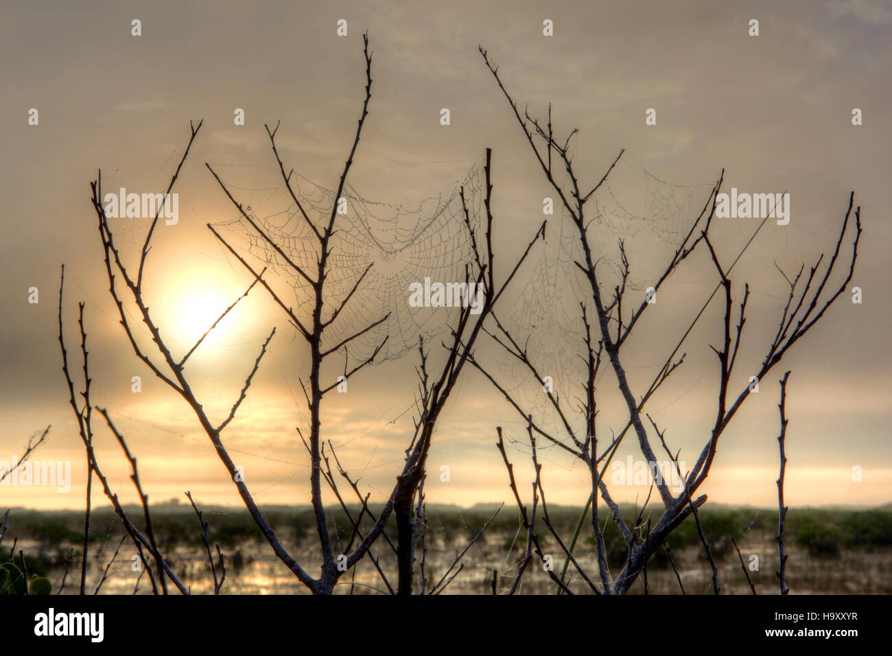 A sunset over Everglades National Park is captured with a webbed ...